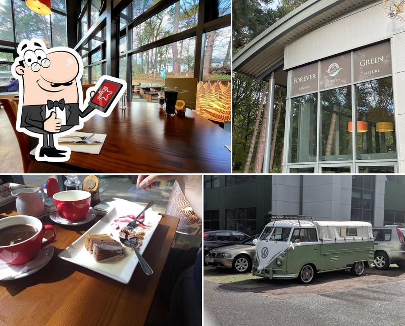 Forever Green Restaurant in Mansfield - Restaurant reviews