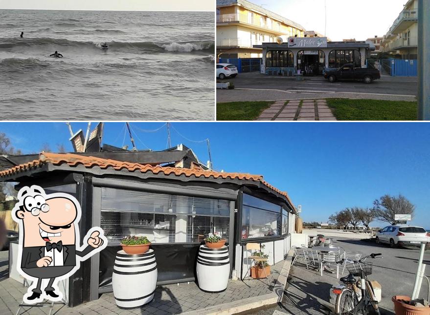 Malecon Cocktail Bar, Ladispoli - Restaurant reviews