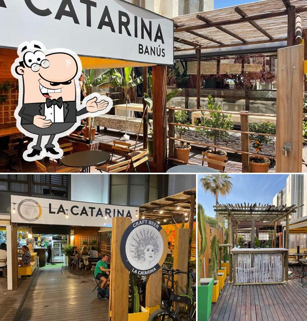 Tropical Vibes - powered by La Catarina craft beer, Marbella ...