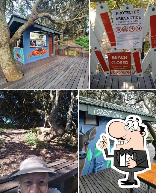 The Forest Café uMhlanga, Umhlanga - Restaurant menu, prices and reviews