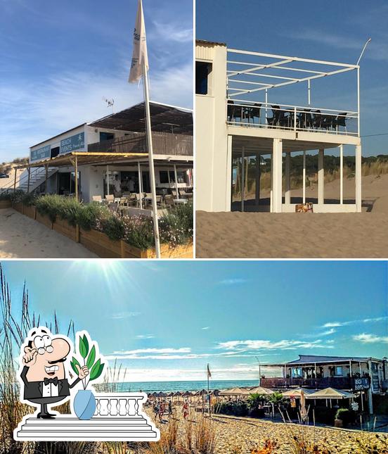Restaurante Praia da Mata, Costa da Caparica - Restaurant menu and reviews