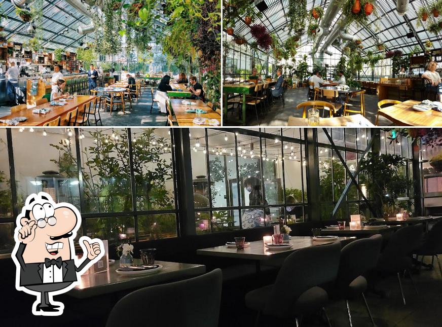 Openaire, Los Angeles - Restaurant menu, prices and reviews