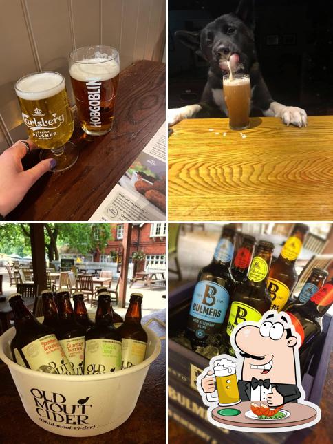 Burnt Stump, Nottingham - Restaurant menu, prices and reviews