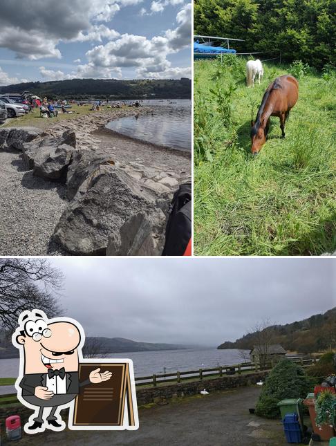The Loch Cafe, Bala - Restaurant menu, prices and reviews
