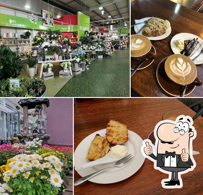 Cafe Botanix, Hamilton - Restaurant menu, prices and reviews