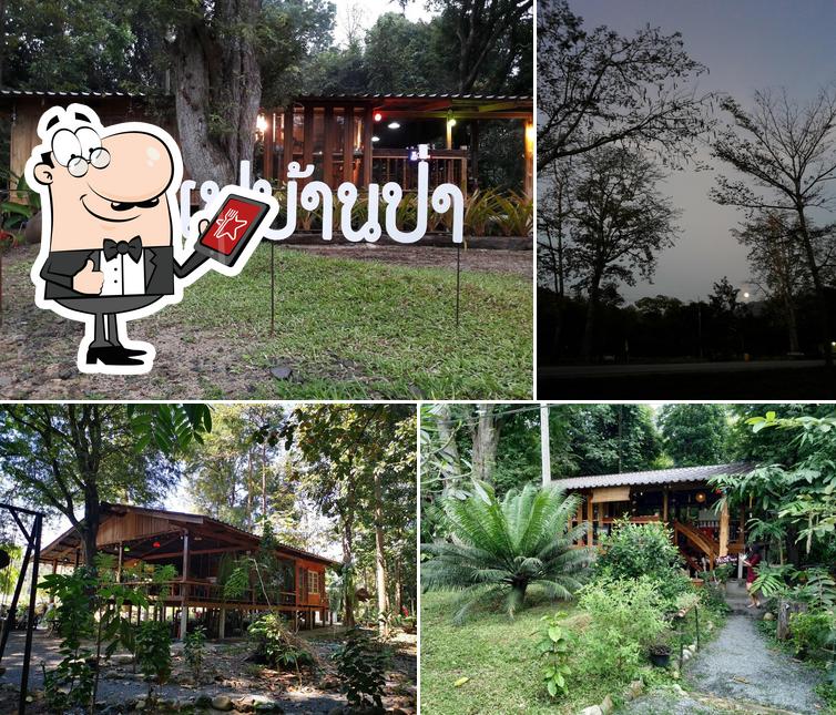 FOREST HOUSE CAFE’, Thap Sai - Opiniones del restaurante