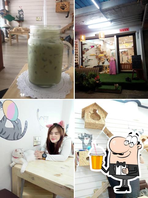 Cat Mania Cafe, Bangkok - Restaurant menu, prices and reviews