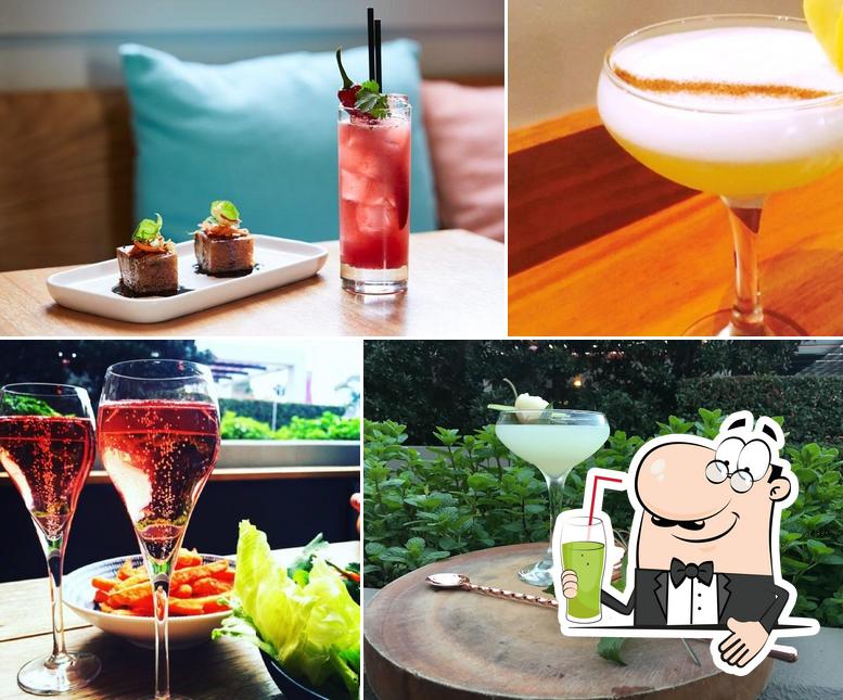 Menu of Buffalo Boy, Brighton - vegetarian restaurant reviews and ratings