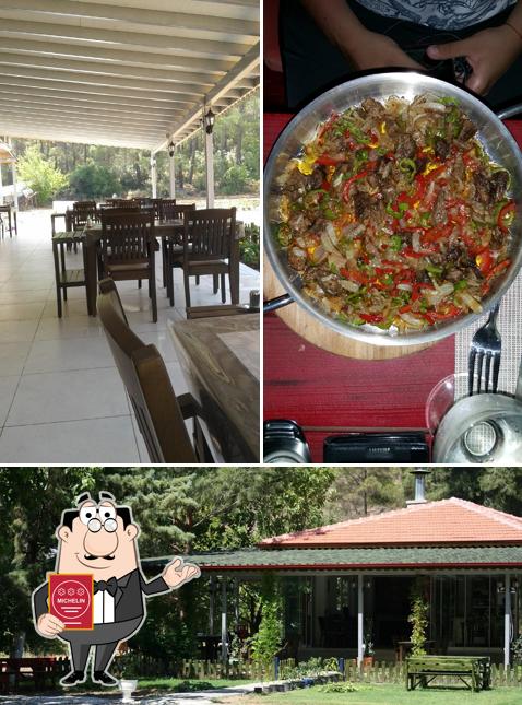 Zeytindalı Teneke Tavuk, Turkey - Restaurant reviews