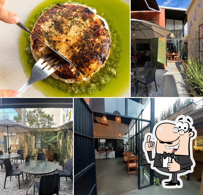 Elefante Sabio Café, Guadalajara - Restaurant menu and reviews