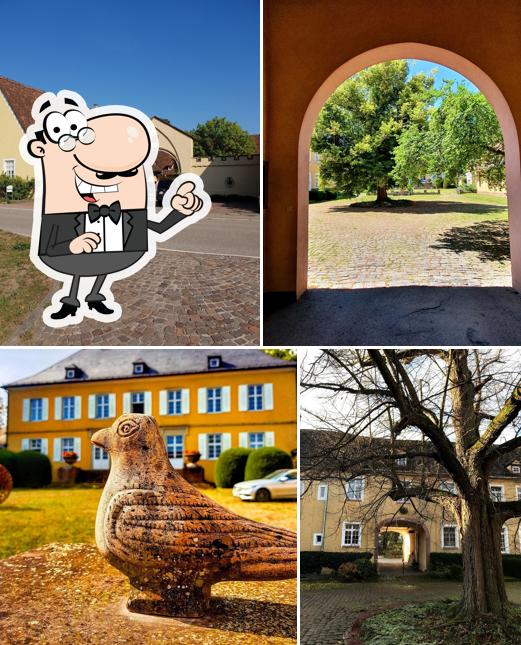 Kaffeehaus Schloss Bauschlott, Neulingen - Restaurantspeisekarten und ...