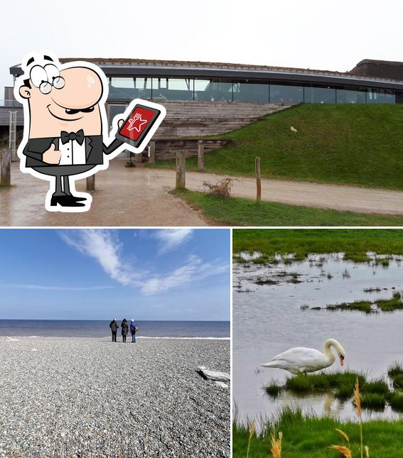 Norfolk Wildlife Trust – Cley and Salthouse Marshes visitor centre ...
