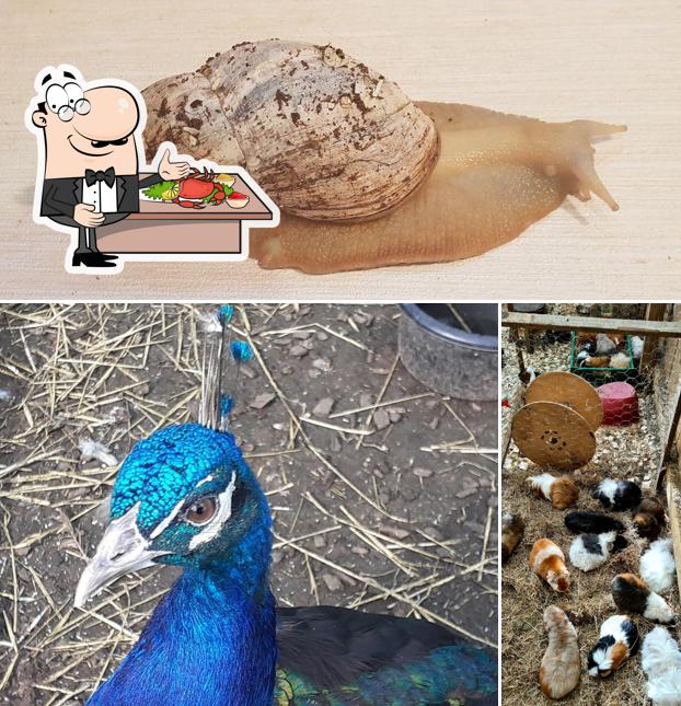 Beetle Bank Farm, York - Restaurant menu, prices and reviews