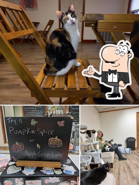 The Calico Cafe in Brookville - Restaurant menu and reviews