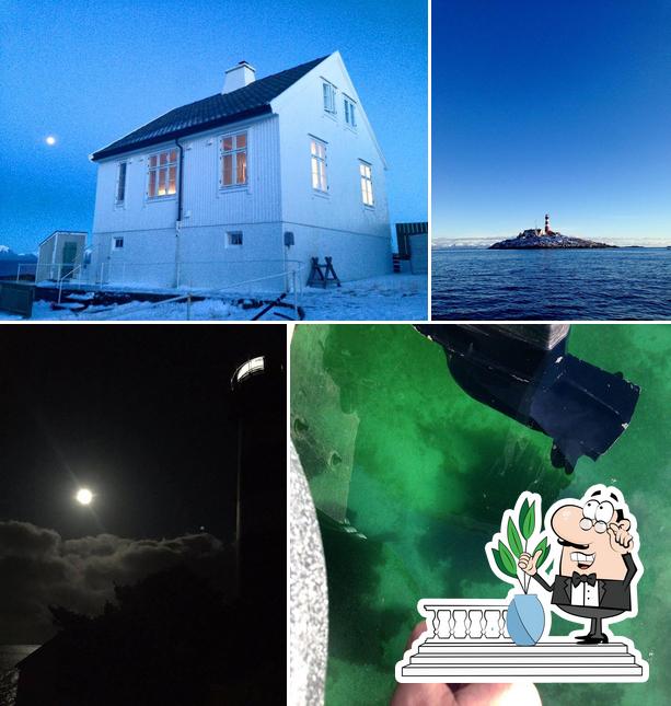 Skrova Fyr, Lofoten restaurant, Norway - Restaurant reviews