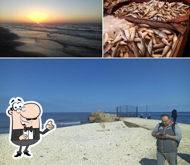 Restaurante El Shamandora, Puerto Said - Opiniones del restaurante