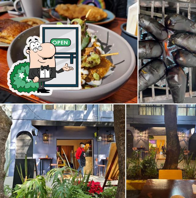 Habibi Man, Mexico City - Restaurant menu, prices and reviews