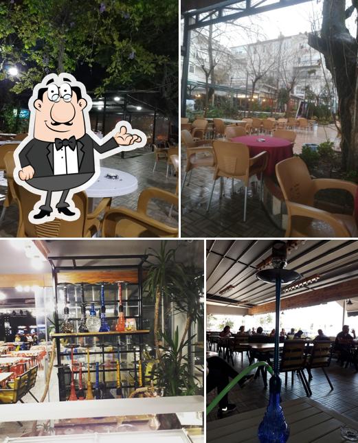 Kaktüs Nargile, Çınarcık - Restaurant reviews