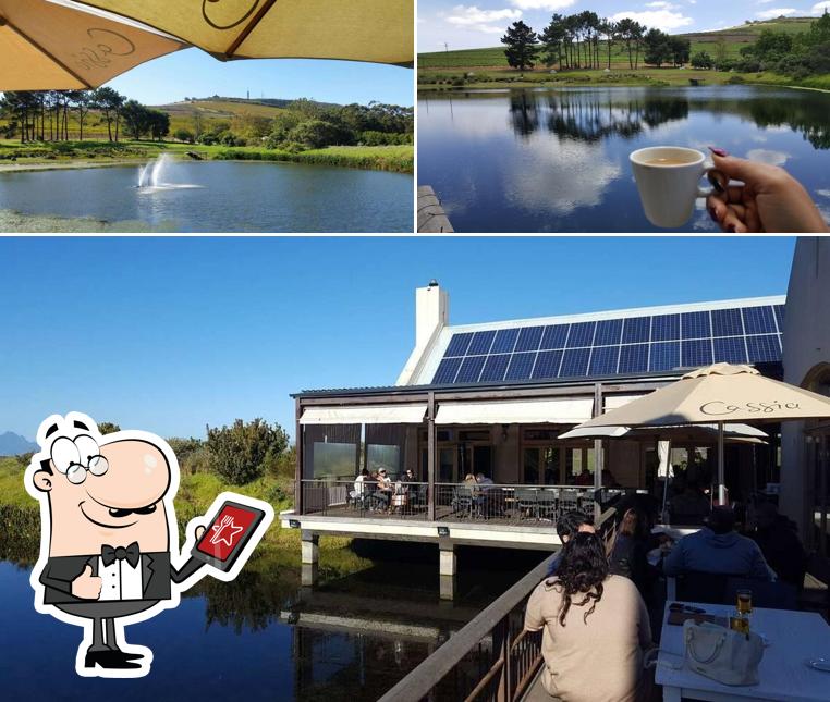 Cassia Restaurant, Cape Town - Restaurant menu, prices and reviews