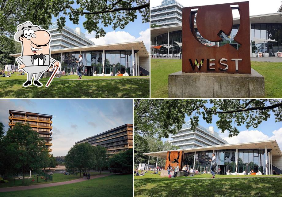 Q-West, Bochum - Speisekarte, Preise und Bewertungen
