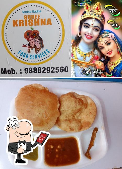 Shri Krishna food services, New Delhi - Restaurant reviews