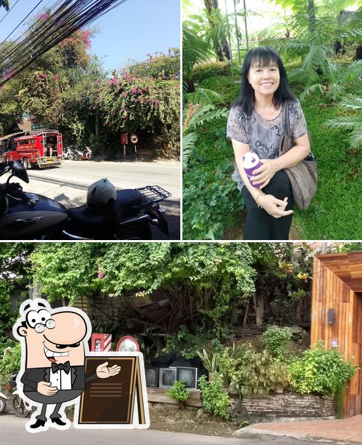 Café Doi Chaang Coffee, Chiang Mai, 53 Kampangdin Rd - Opiniones del ...