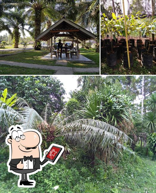 Som Tam Khai Khem Isan Food restaurant, Wang Mai - Restaurant reviews