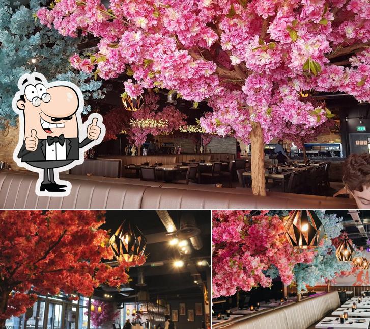 Blue Sakura Leeds in Leeds - Restaurant reviews