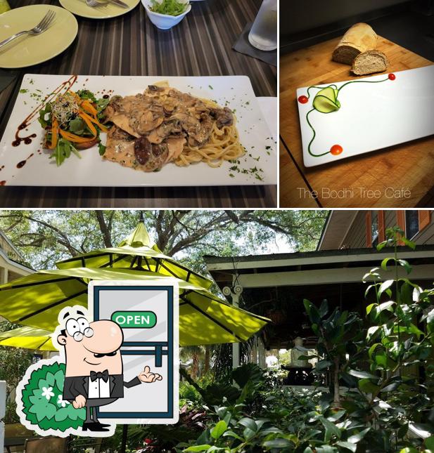 The Bodhi Tree Café, Sarasota - Restaurant menu, prices and reviews