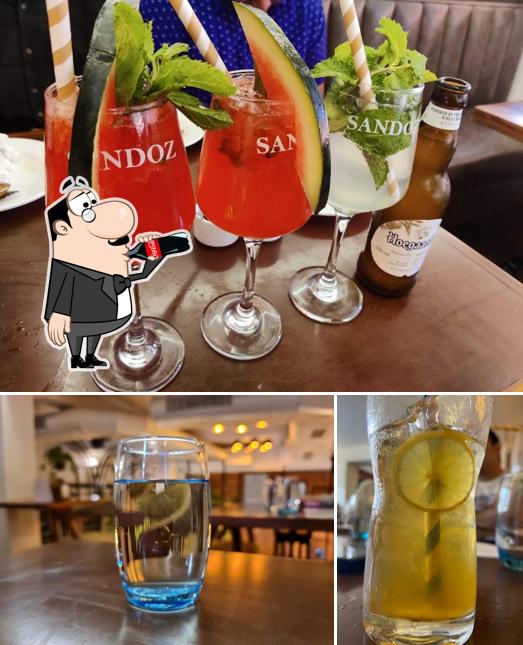 Cafe Sandoz - SDA Market, New Delhi - Restaurant menu, prices and reviews