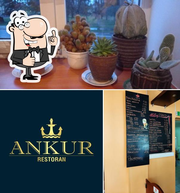 ANKUR Restoran restaurant, Mustvee - Restaurant reviews