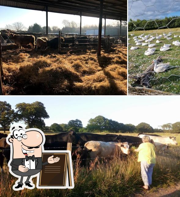 The Oaks Poultry Farm (Farm Shop) in Hassocks - Restaurant reviews