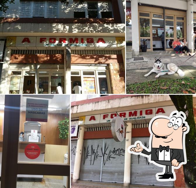 A Formiga, Curitiba - Avaliações de restaurantes