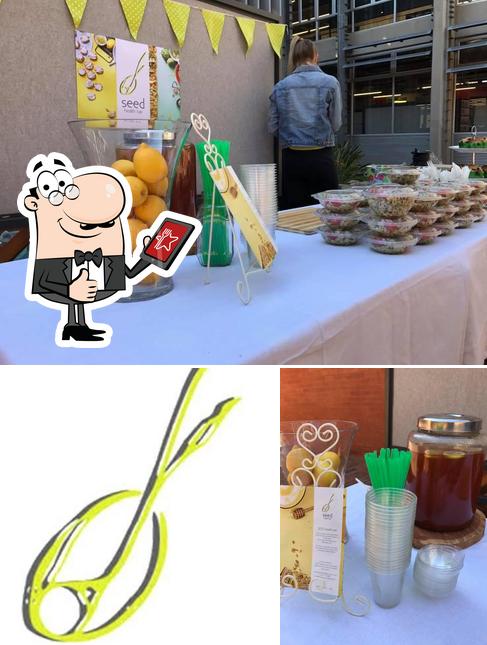 Seed Health Bar, Pretoria