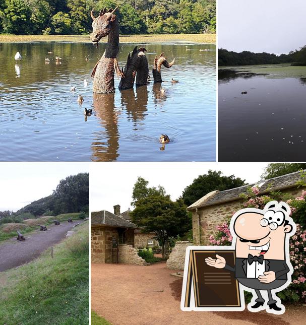 Aviary in Maybole - Restaurant reviews