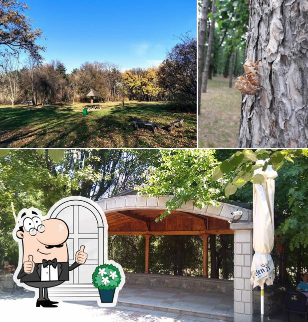 Restaurant Golf, Belgrade - Restaurant menu, prices and reviews