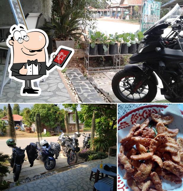 Bai Bua Coffee Bar, Thailand - Restaurant reviews