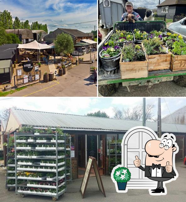 Macknade, Faversham - Restaurant menu, prices and reviews