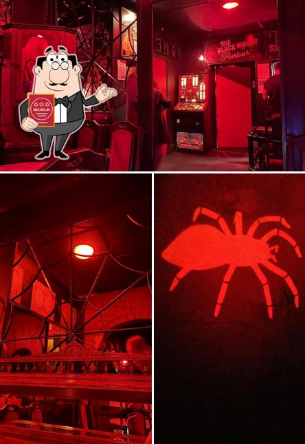Spiders in Hull - Restaurant reviews