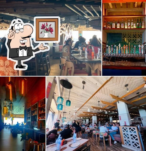 Monkeypod Kitchen - Waikiki, Honolulu - Restaurant menu, prices and reviews