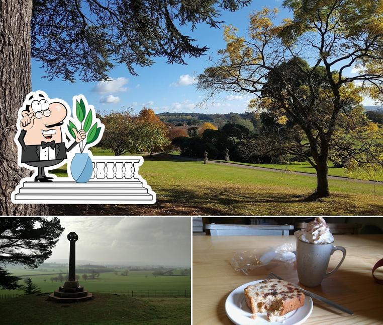 Killerton House Dairy Café in Exeter - Restaurant reviews