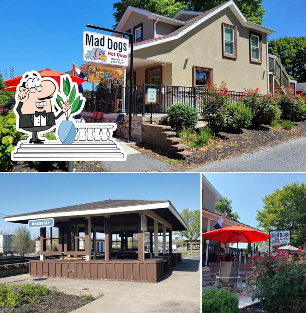 Mad Dogs Hot Dogs & Sugar Shack in Macungie - Restaurant menu and reviews