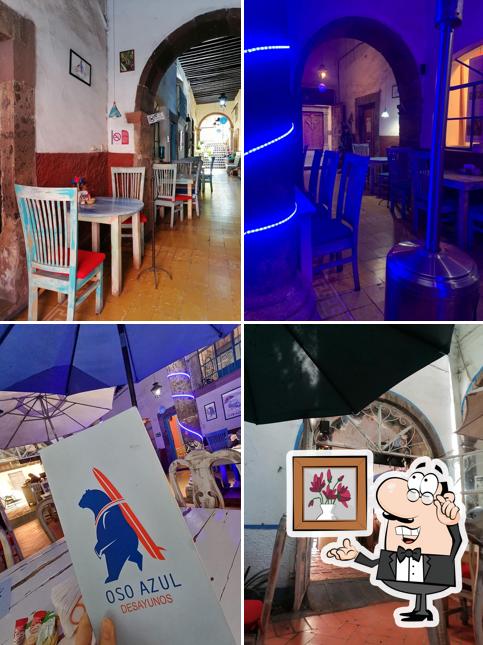 Cafe Oso Azul, San Miguel de Allende, Zacateros 17 - Restaurant reviews