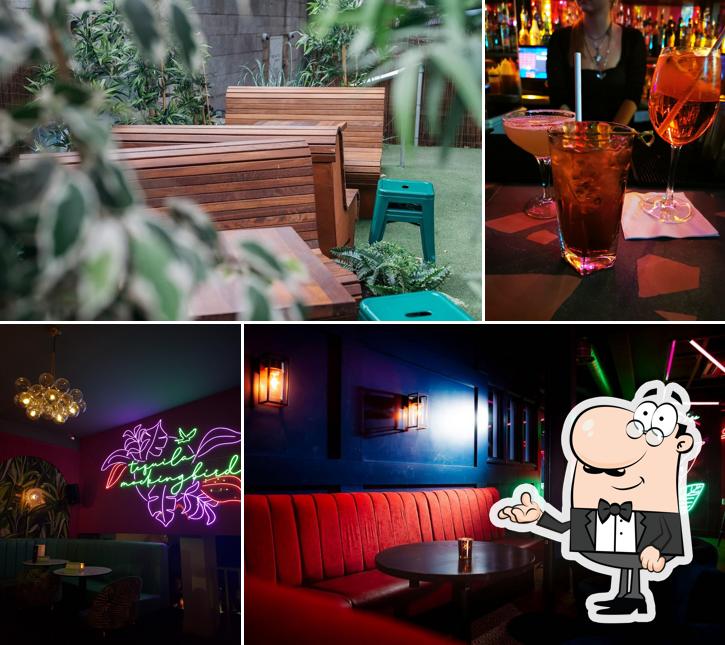 Tequila Mockingbird Putney, 4-6 Putney High St in London - Restaurant ...
