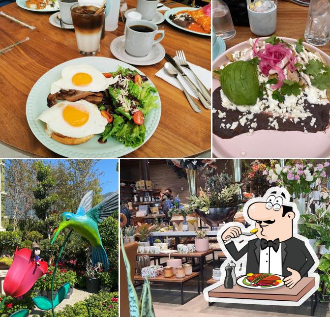 EDÉN FLOR Y CAFÉ, Monterrey - Menú del restaurante, precios y reseñas