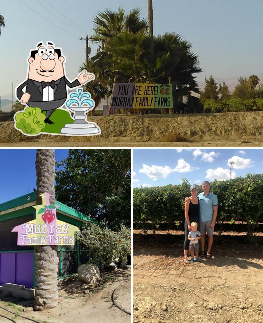 The Little Purple Barn, Murray Family Farms in Bakersfield - Restaurant ...
