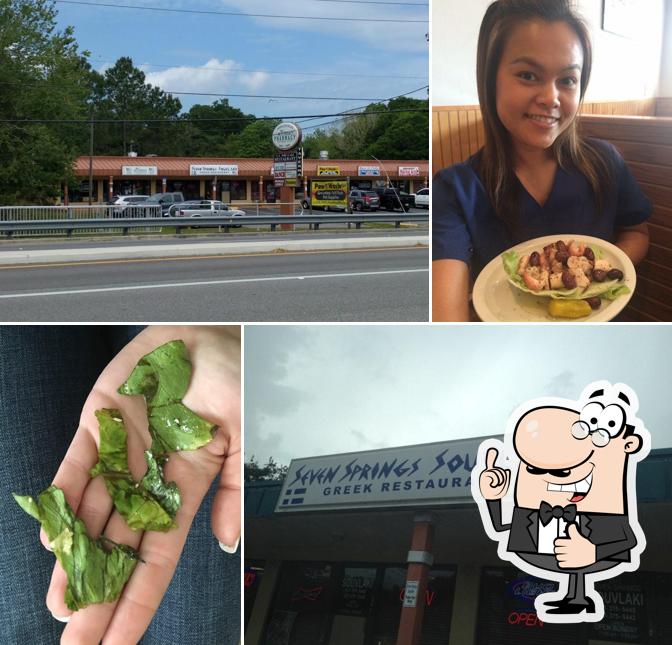 Seven Springs Souvlaki in New Port Richey - Restaurant menu and reviews