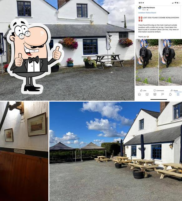 Blue Lion Inn in Lewdown - Restaurant reviews
