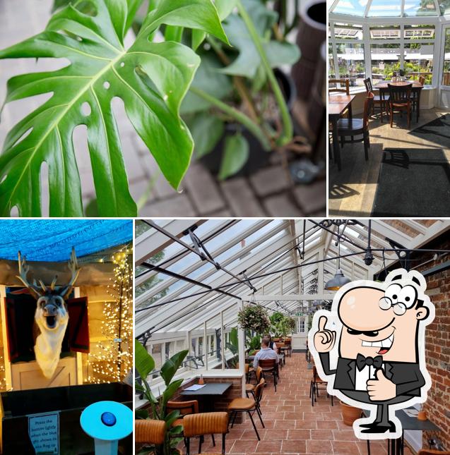 Castle Gardens in Sherborne - Restaurant reviews