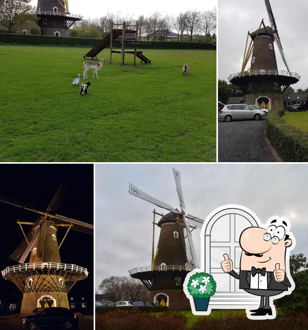 De Meulen, Oirschot - Restaurant reviews